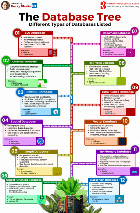 Exploring the Different Types of Databases Exploring the Different Types of Databases