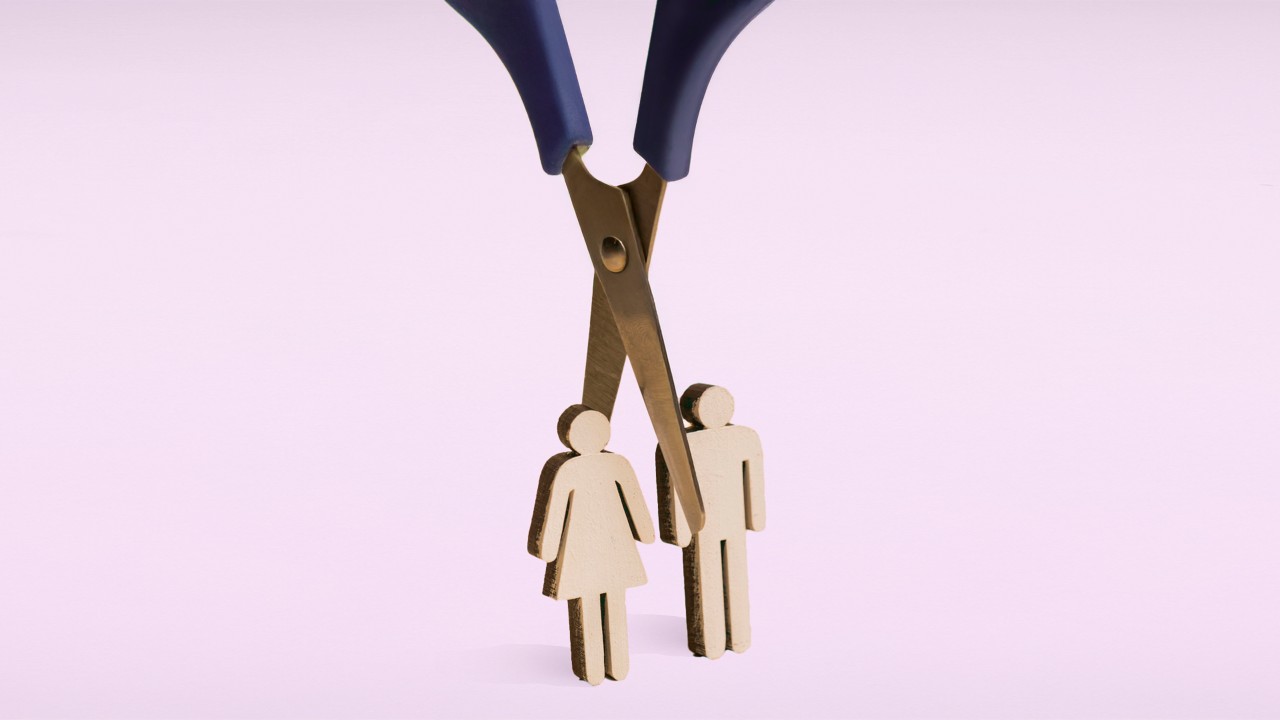 The Invisible Half: Uncovering & Addressing Gender Data Bias in Medical ... The Invisible Half: Uncovering & Addressing Gender Data Bias in Medical ...