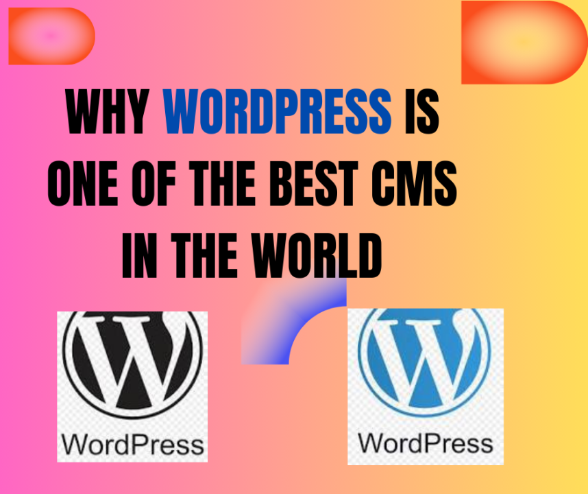 Why WordPress is one of the best CMS in the World? Why WordPress is one of the best CMS in the World?