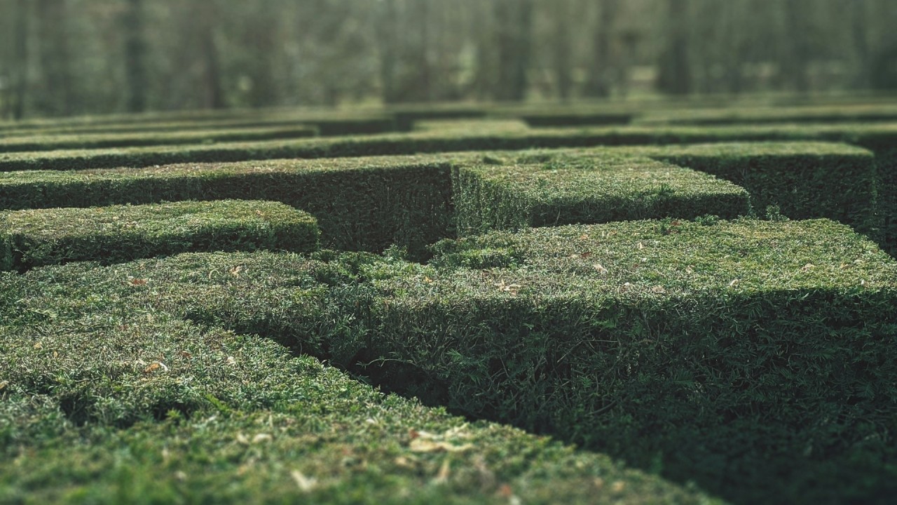 Navigating the social media maze Navigating the social media maze