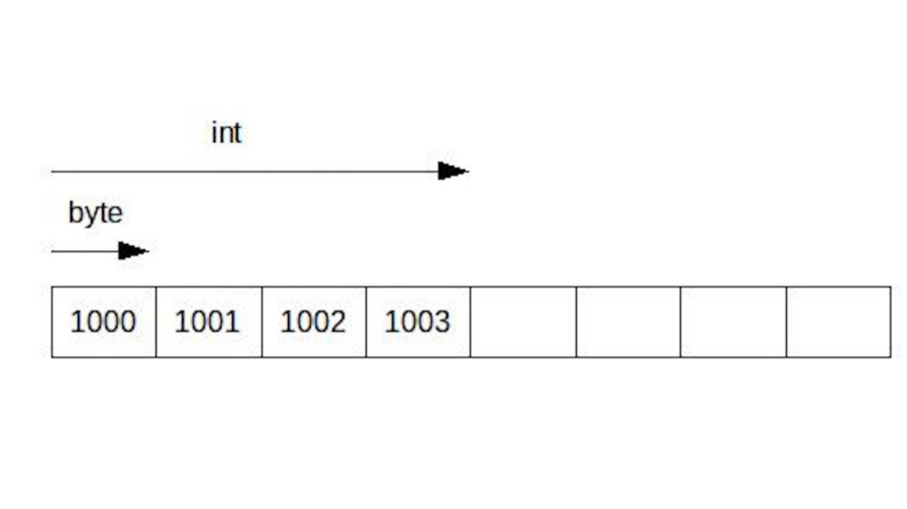 Understanding Primitive Data Types Understanding Primitive Data Types