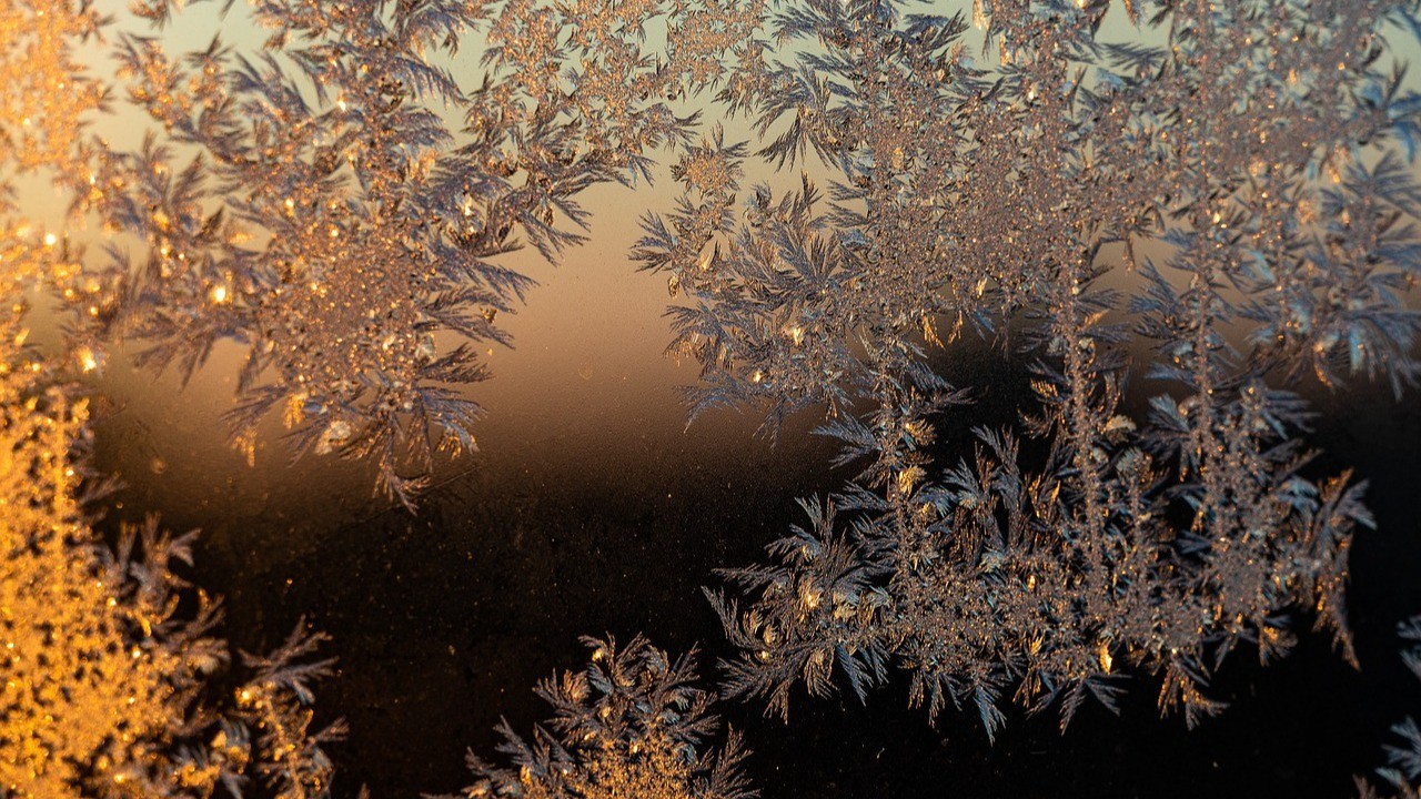 Pharma glass defects - Part 49. Frost Pharma glass defects - Part 49. Frost