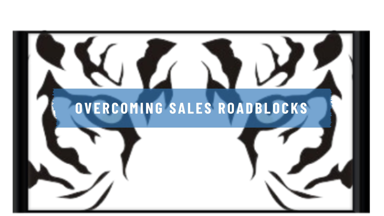 Overcoming Sales Roadblocks Overcoming Sales Roadblocks