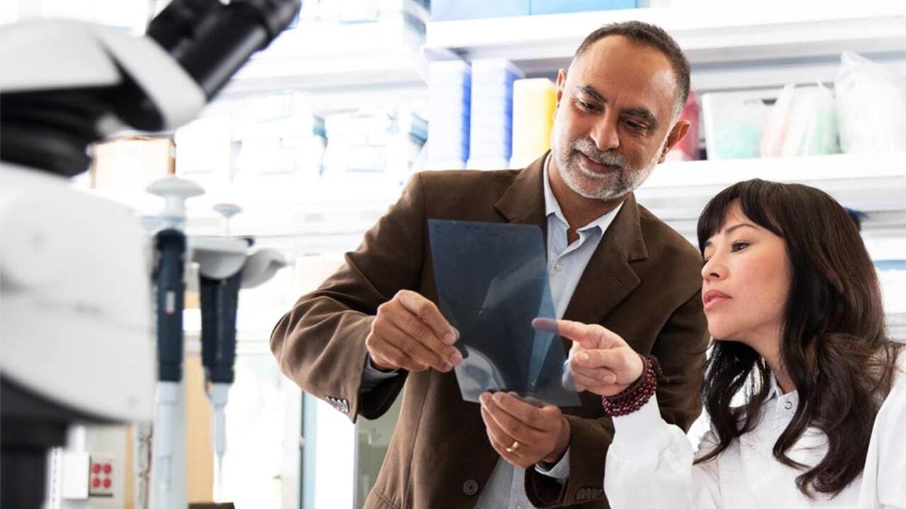 Buck researchers uncover intriguing connection between diet, eye health ... Buck researchers uncover intriguing connection between diet, eye health ...