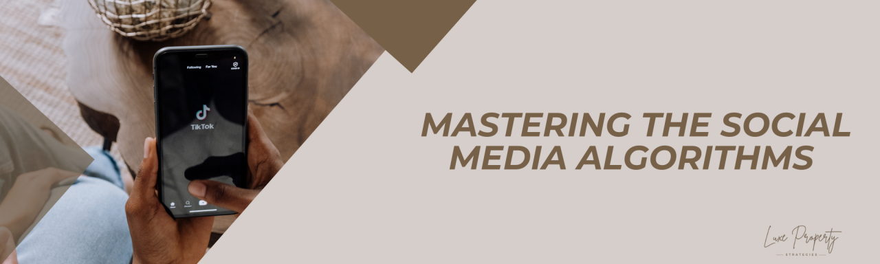 Mastering the Social Media Algorithms Mastering the Social Media Algorithms