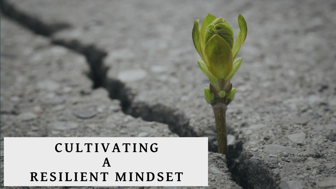 Cultivating a Resilient Mindset. Cultivating a Resilient Mindset.