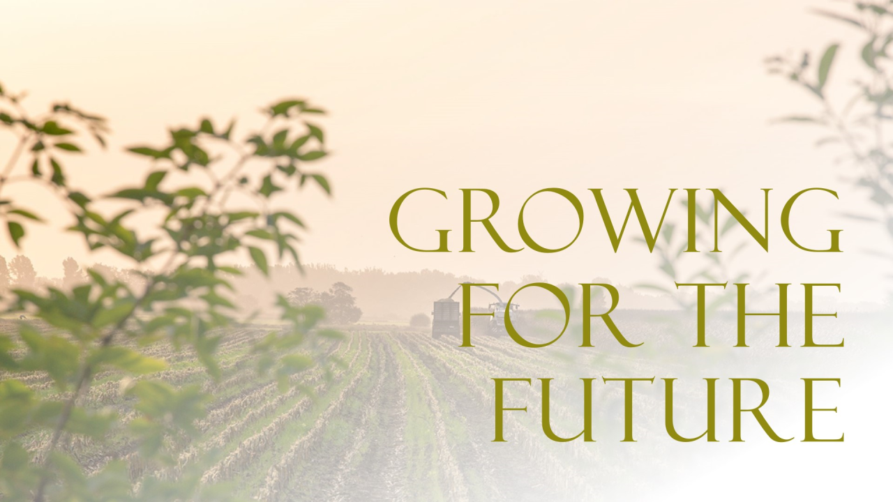 From Seeds to Data: Simplifying Plant Tracking with a Centralized Data Hub From Seeds to Data: Simplifying Plant Tracking with a Centralized Data Hub
