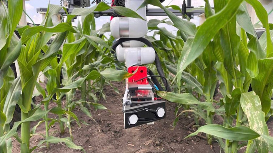 CMU Researchers Develop Robotic Platform To Boost Corn Crop Health CMU Researchers Develop Robotic Platform To Boost Corn Crop Health