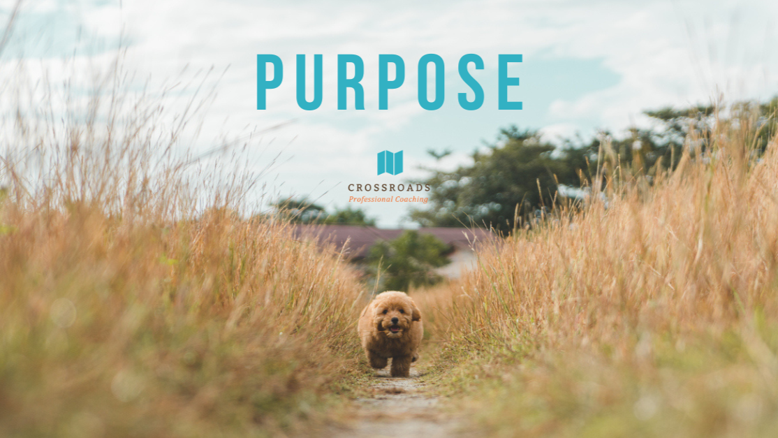 Aligning Your Life with God’s Vision: A Path to Purpose Aligning Your Life with God’s Vision: A Path to Purpose