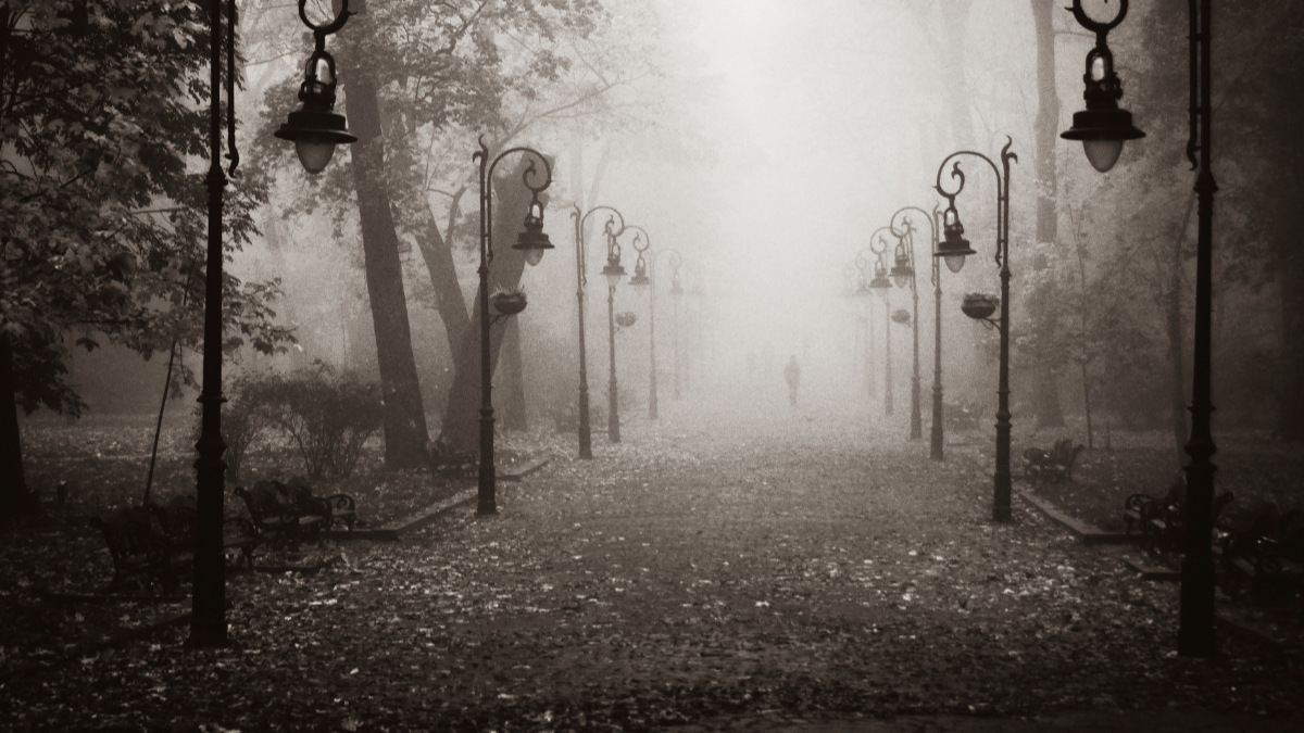 Navigating the Fog: Transforming Discomfort into Agility Navigating the Fog: Transforming Discomfort into Agility
