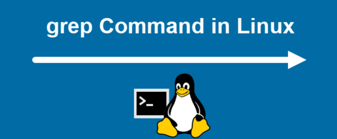 Mastering the Art of Searching: The Power of the 'grep' Command Mastering the Art of Searching: The Power of the 'grep' Command