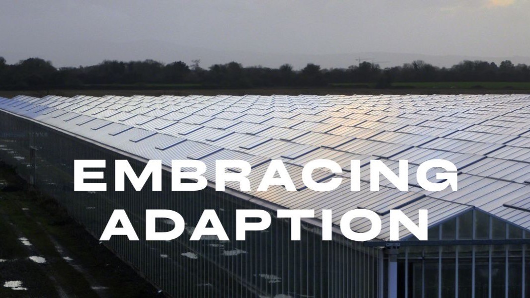 Embracing Adaption Embracing Adaption