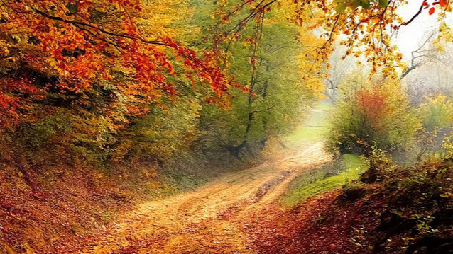 Give Yourself Permission to Heal Give Yourself Permission to Heal