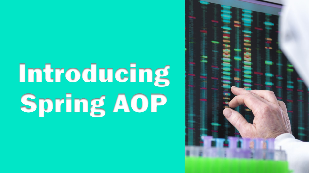 Introduction to Spring AOP (Aspect-Oriented Programming) Introduction to Spring AOP (Aspect-Oriented Programming)