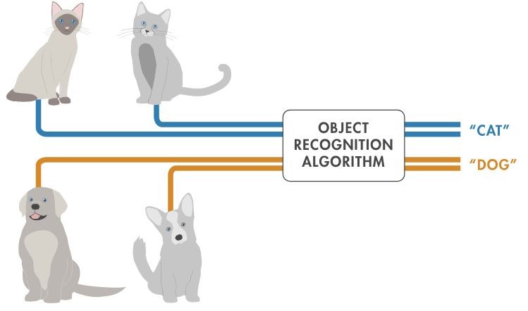 Implementing Image Recognition with Artificial Intelligence using MATLAB Implementing Image Recognition with Artificial Intelligence using MATLAB