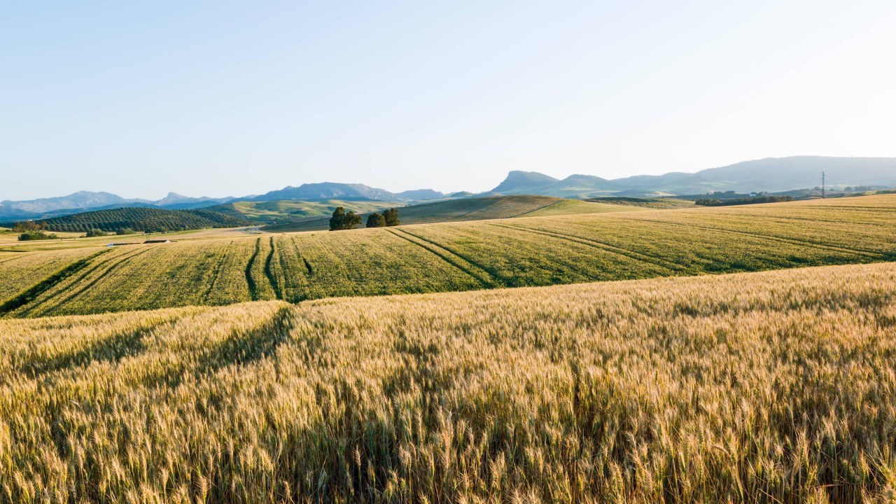 Embracing the Future of Farming: The Resurgence of Regenerative ... Embracing the Future of Farming: The Resurgence of Regenerative ...