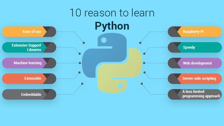 The Purpose of Learning Python: Unlocking Programming Power The Purpose of Learning Python: Unlocking Programming Power