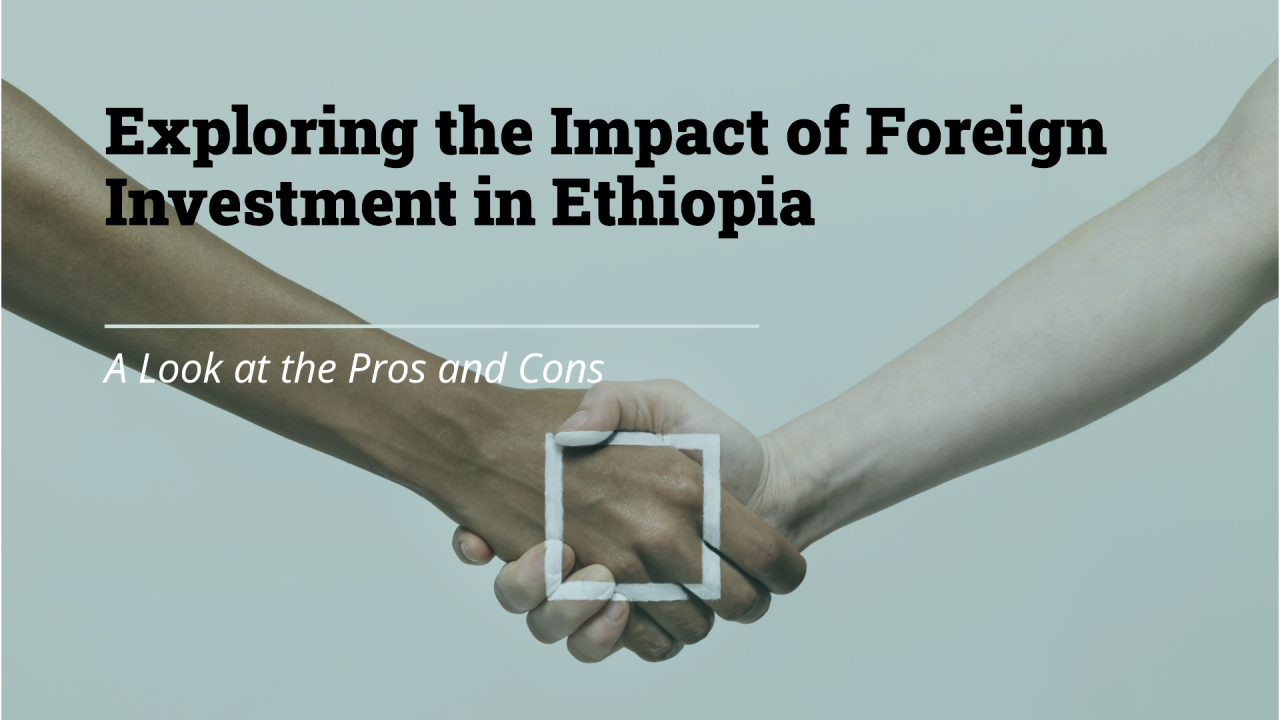 Allowing Foreign Investors in Ethiopian Allowing Foreign Investors in Ethiopian