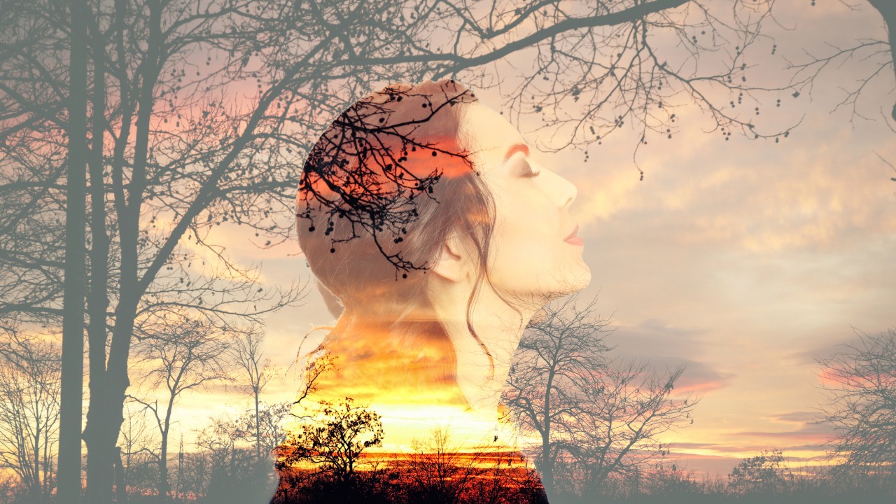 Deine Intuition: Ein wertvoller Ratgeber im Alltag Deine Intuition: Ein wertvoller Ratgeber im Alltag