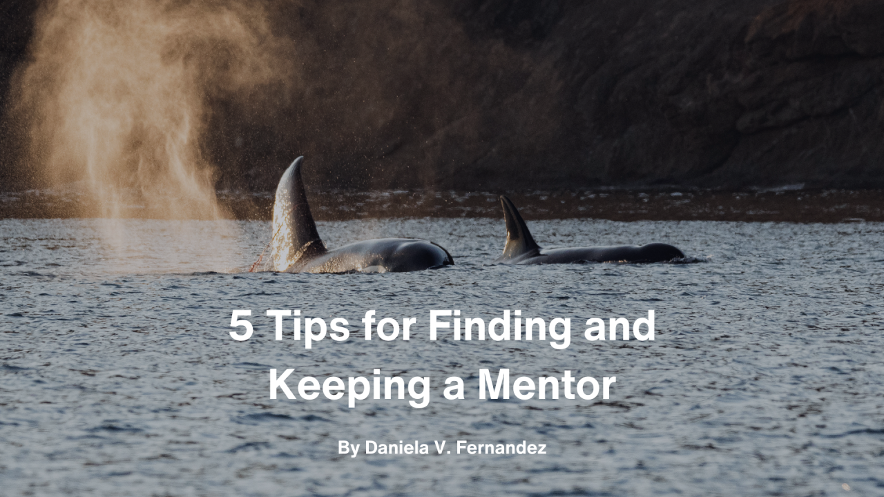 5 Tips for Finding and Keeping a Mentor | Daniela V. Fernandez 5 Tips for Finding and Keeping a Mentor | Daniela V. Fernandez
