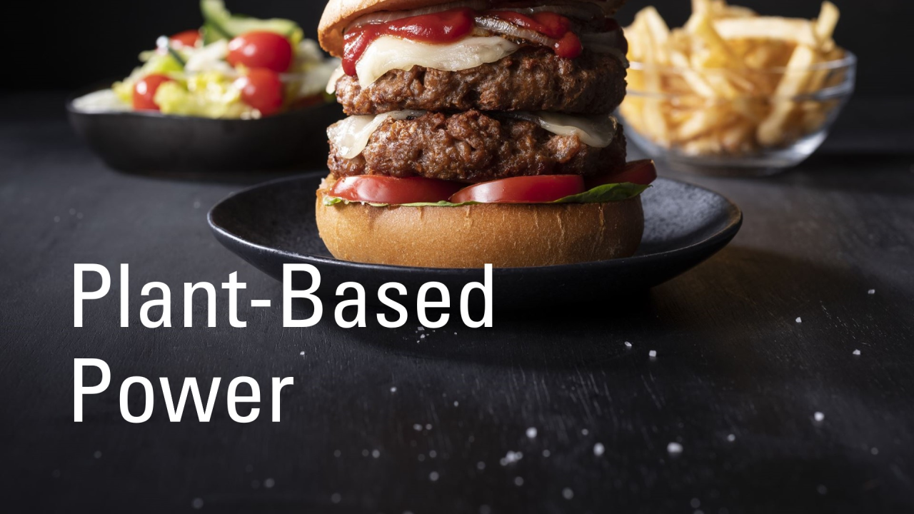 🌱 Plant-Based Power: Why Beginners Should Consider the Switch 🌱 Plant-Based Power: Why Beginners Should Consider the Switch