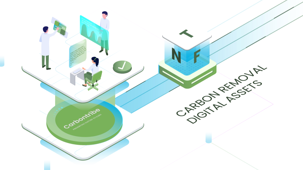 Carbontribe Labs Launches NGO Program, Seeking Testers Carbontribe Labs Launches NGO Program, Seeking Testers