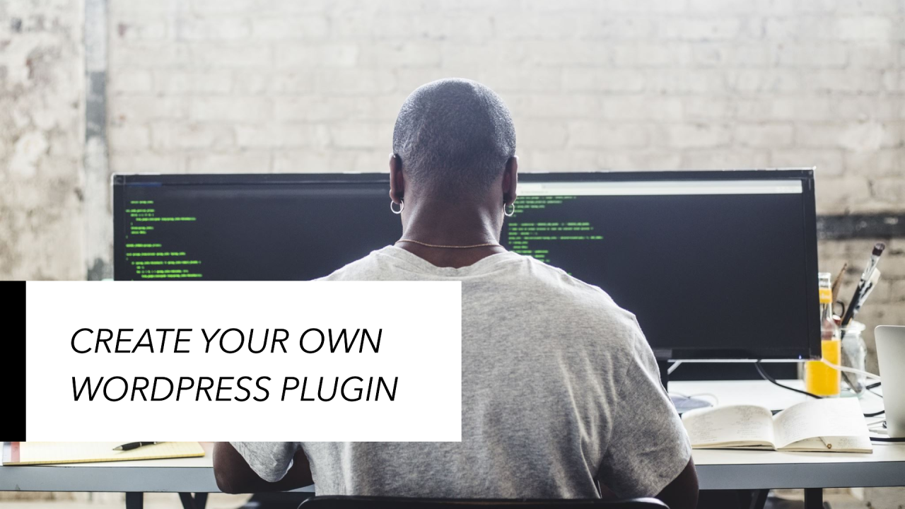 Create your own WordPress plugin Create your own WordPress plugin