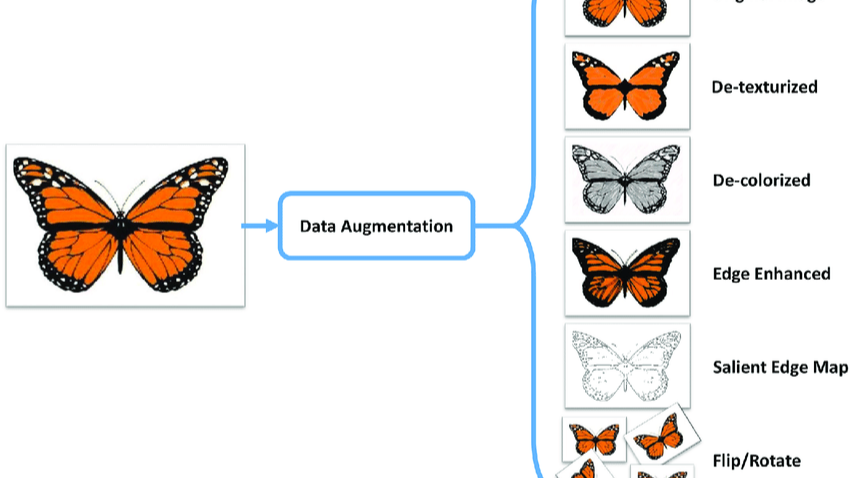 Automated Data Augmentation: A Step-by-Step Guide for Beginners Automated Data Augmentation: A Step-by-Step Guide for Beginners