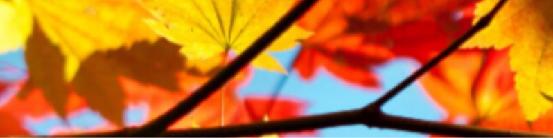 George Mc Farlane on LinkedIn: Majorana 1 Explained: The Path to a ... George Mc Farlane on LinkedIn: Majorana 1 Explained: The Path to a ...