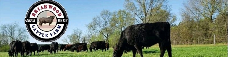 Marvin Frink - Beef Cattle Farmer - Briarwood Cattle Farm, LLC | LinkedIn Marvin Frink - Beef Cattle Farmer - Briarwood Cattle Farm, LLC | LinkedIn