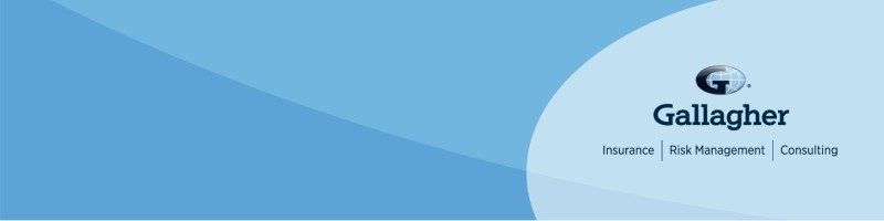 Thomas Vilardo - Senior Vice President - Gallagher | LinkedIn Thomas Vilardo - Senior Vice President - Gallagher | LinkedIn
