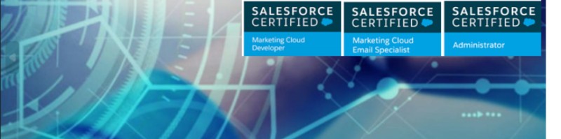 Pratikshya S. - Salesforce Marketing Cloud Developer - Elevance Health ... Pratikshya S. - Salesforce Marketing Cloud Developer - Elevance Health ...
