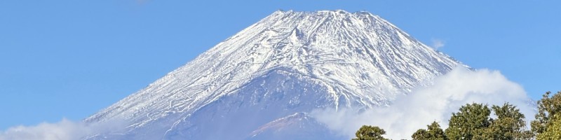 Nicholas L. Kelley, CISSP, PMP - Travelers | LinkedIn Nicholas L. Kelley, CISSP, PMP - Travelers | LinkedIn