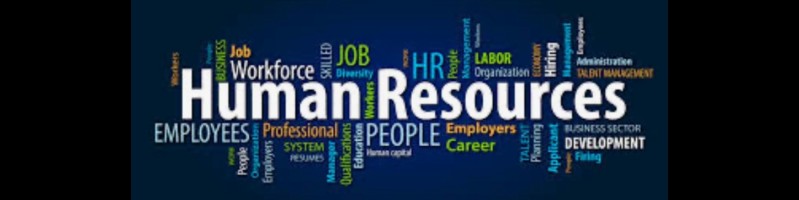 Michele McMann PHR, SHRM-SCP - Wheels, Inc. | LinkedIn Michele McMann PHR, SHRM-SCP - Wheels, Inc. | LinkedIn