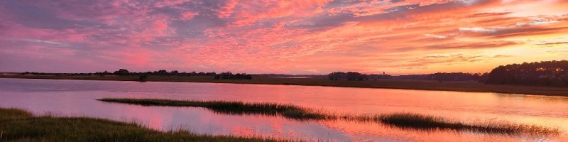 Melissa Liechty - Speech Language Pathologist - UK HealthCare | LinkedIn Melissa Liechty - Speech Language Pathologist - UK HealthCare | LinkedIn
