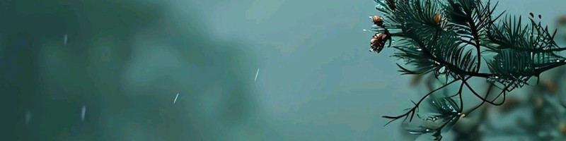 Lalith Anand on LinkedIn: #100daysofleetcode #leetcode #codingchallenge ... Lalith Anand on LinkedIn: #100daysofleetcode #leetcode #codingchallenge ...