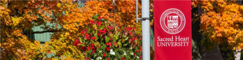 Julia Casubolo - Fairfield, Connecticut, United States | Professional ... Julia Casubolo - Fairfield, Connecticut, United States | Professional ...