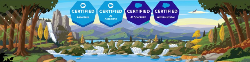 Ian Joujan - Certified Salesforce Administrator | LinkedIn Ian Joujan - Certified Salesforce Administrator | LinkedIn