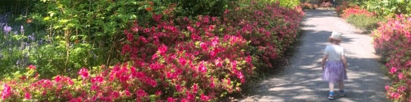 John Walshe on LinkedIn: Understanding Value Types vs Reference Types ... John Walshe on LinkedIn: Understanding Value Types vs Reference Types ...