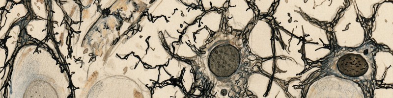 Rishab Kumar Jain - Duality Neuro | LinkedIn Rishab Kumar Jain - Duality Neuro | LinkedIn