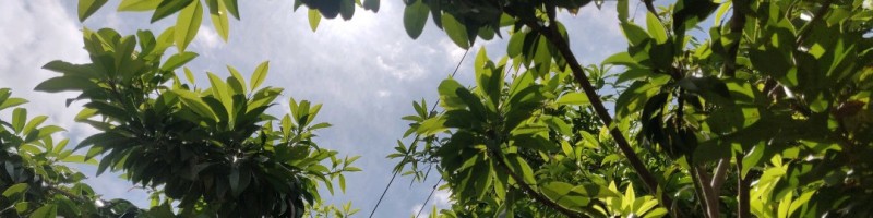 Rahel Baig Moghal on LinkedIn: #nextjs #mongodb #aws #webdevelopment # ... Rahel Baig Moghal on LinkedIn: #nextjs #mongodb #aws #webdevelopment # ...