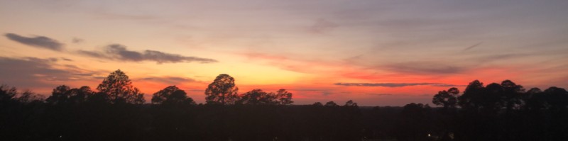 Manasvi Mathur - Student at the University of West Florida | LinkedIn Manasvi Mathur - Student at the University of West Florida | LinkedIn