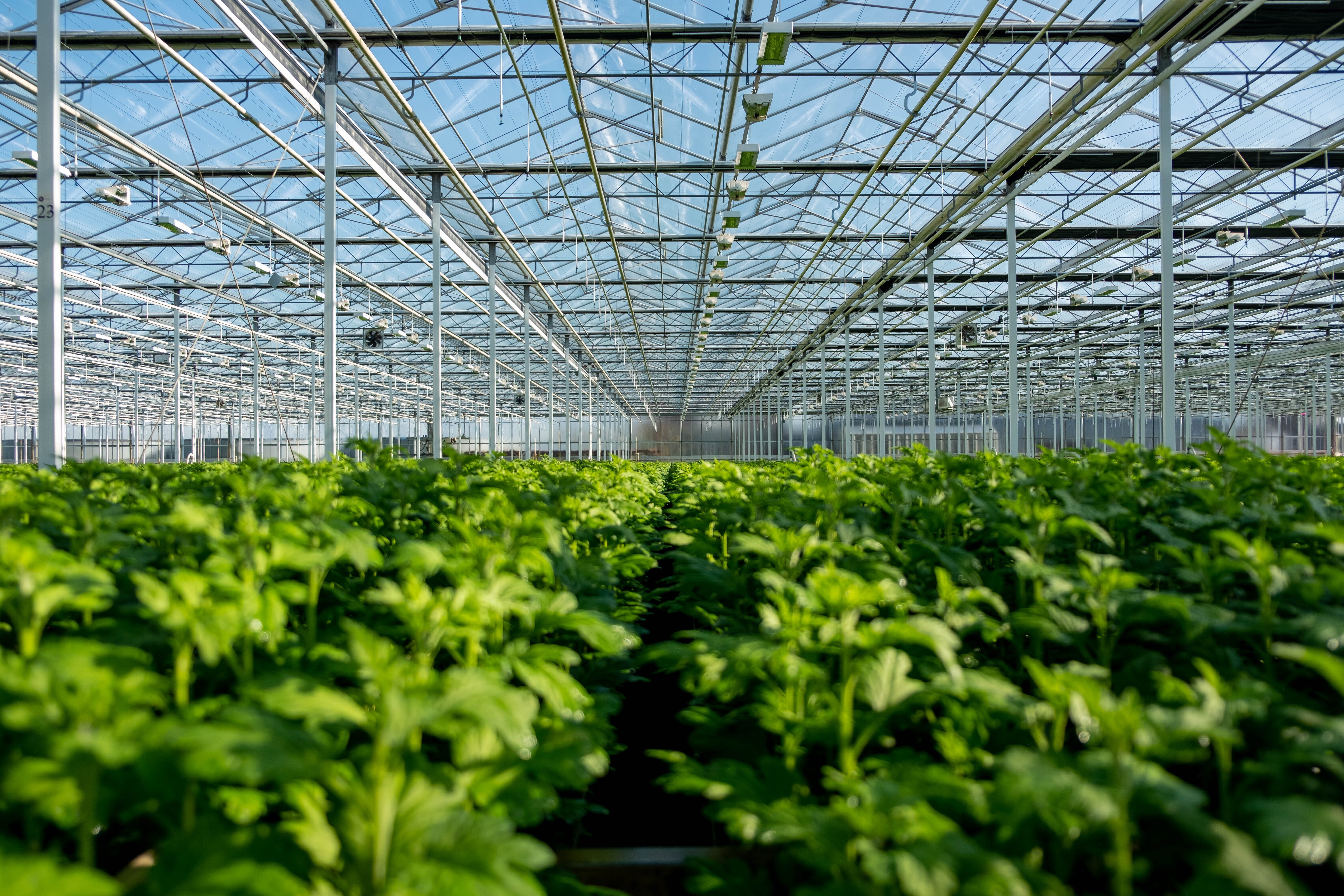 AgriData Innovations on LinkedIn: Software Developer Vacancy at ... AgriData Innovations on LinkedIn: Software Developer Vacancy at ...