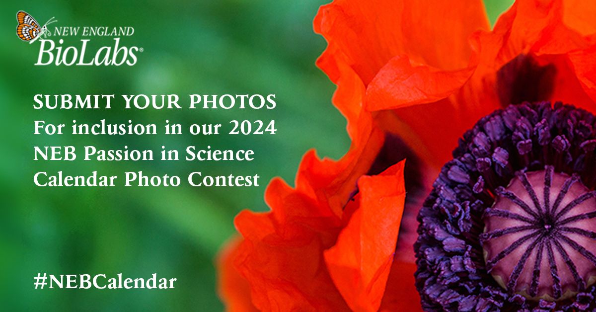 New England Biolabs UK on LinkedIn: 2024 Calendar Photo Contest New England Biolabs UK on LinkedIn: 2024 Calendar Photo Contest