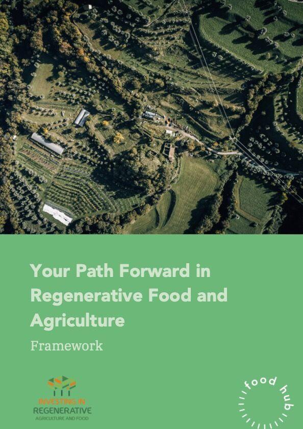 💥 You can now build your own Framework to decide Your Path in ... 💥 You can now build your own Framework to decide Your Path in ...
