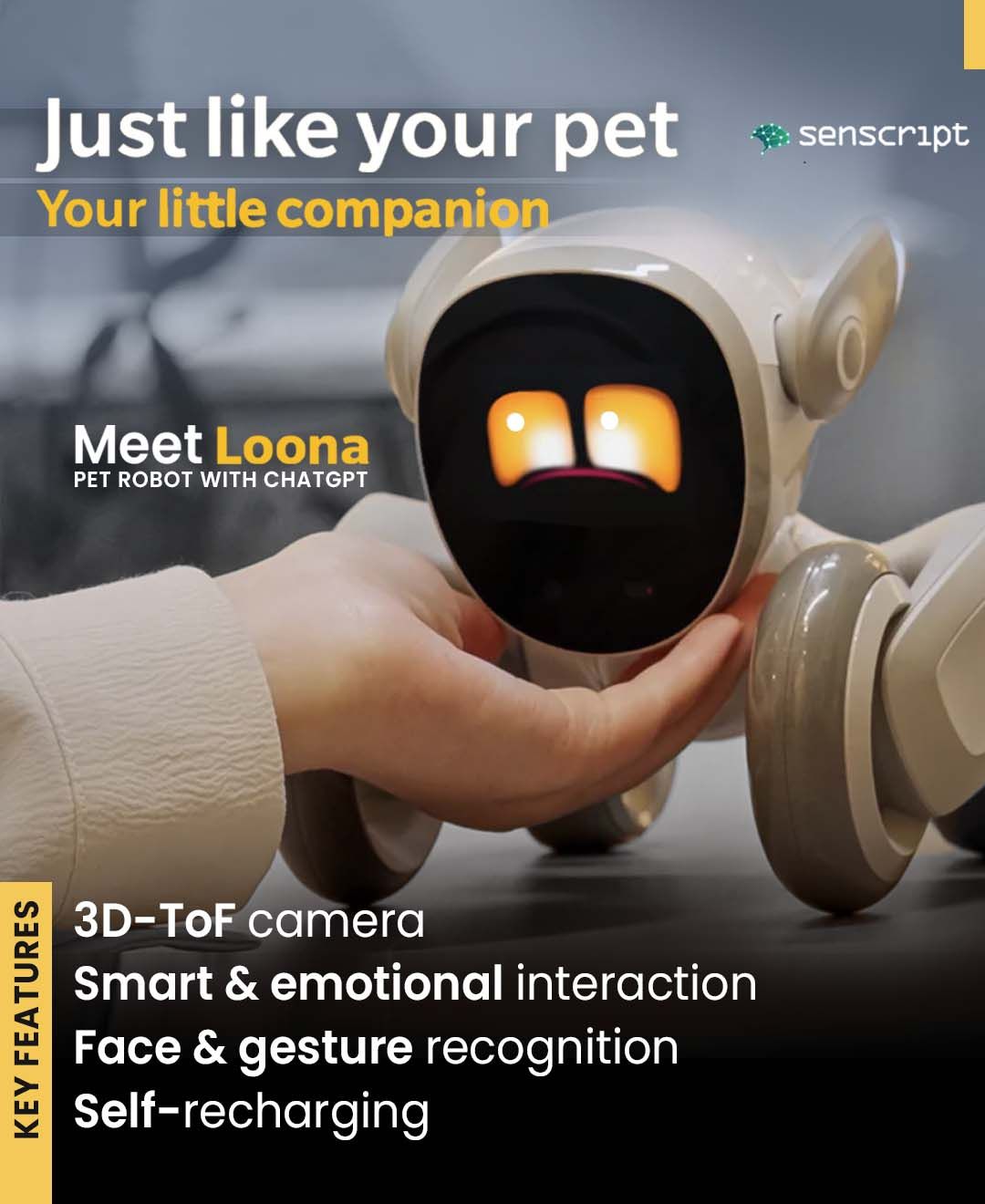 Senscript Technologies on LinkedIn: #loona #loonapetbot #loona # ... Senscript Technologies on LinkedIn: #loona #loonapetbot #loona # ...