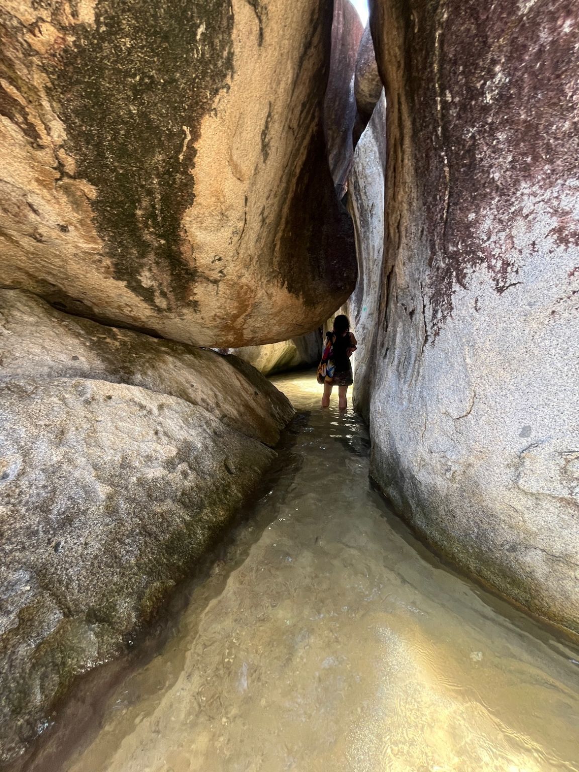 Emilie McGlone on LinkedIn: #bvi #ocean #climate #crew #naturelovers # ... Emilie McGlone on LinkedIn: #bvi #ocean #climate #crew #naturelovers # ...
