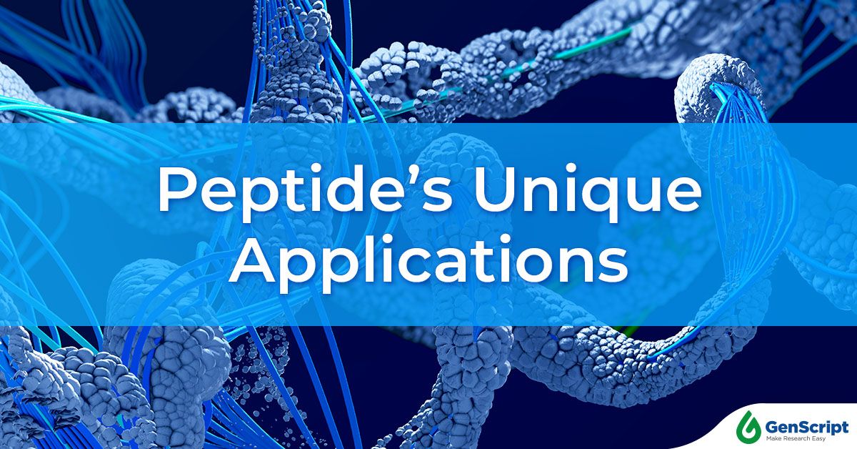 GenScript on LinkedIn: Peptide Listicle: Three Inventive Biomedical ... GenScript on LinkedIn: Peptide Listicle: Three Inventive Biomedical ...