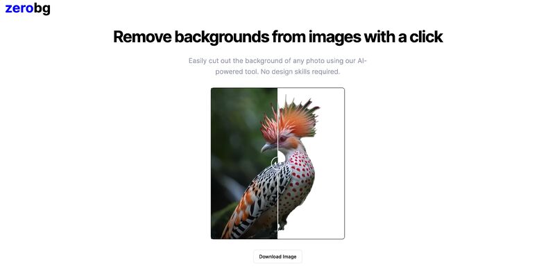 Introducing ZeroBG: AI background remover tool | 🖥️ Aaron Kagan ... Introducing ZeroBG: AI background remover tool | 🖥️ Aaron Kagan ...