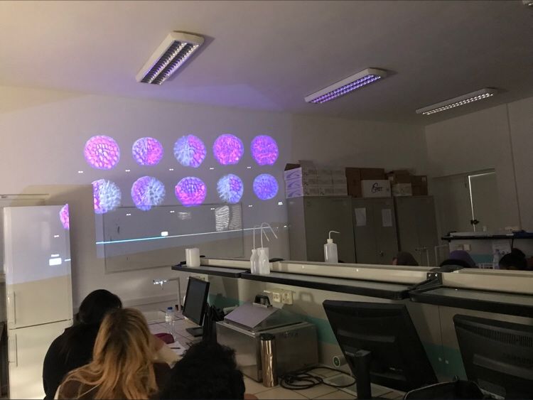 Mohamed JEMAA on LinkedIn: Cris et chuchotements cellulaires New era of ... Mohamed JEMAA on LinkedIn: Cris et chuchotements cellulaires New era of ...